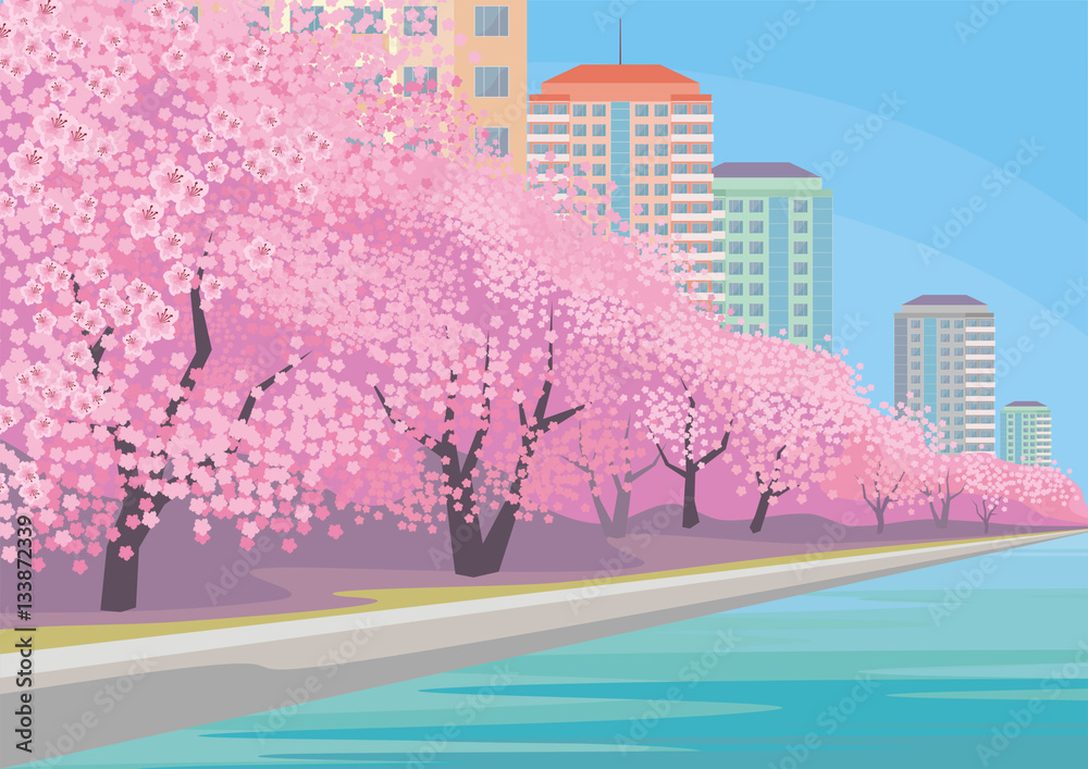 Beautiful spring city landscape with the blossoming Oriental cherry and ...