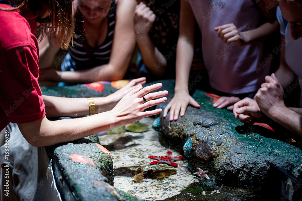 Kids playing with fishes in aquarium Stock Photo | Adobe Stock