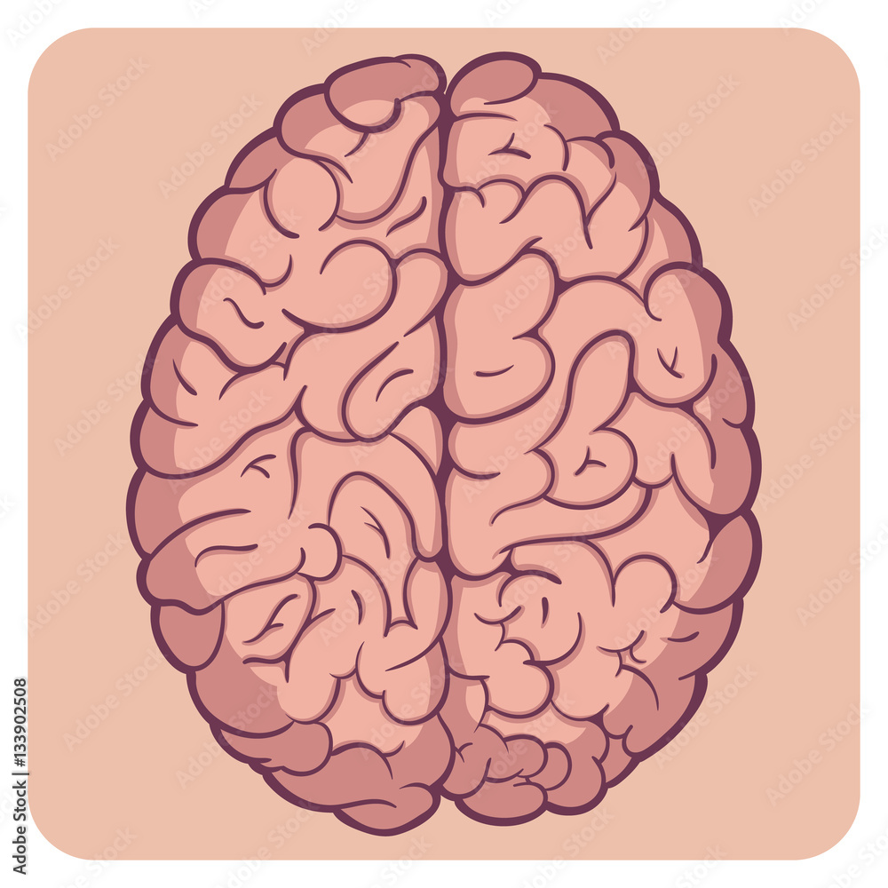 Cartoon style layered vector illustration - bright colored naturalistic ...