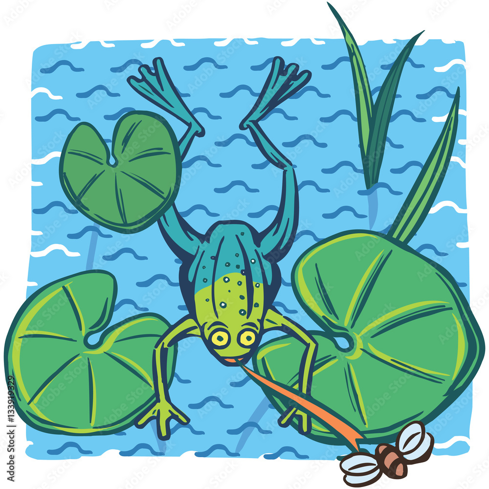 Frog lounging on lily pads, catching a bug. Stock Vector | Adobe Stock