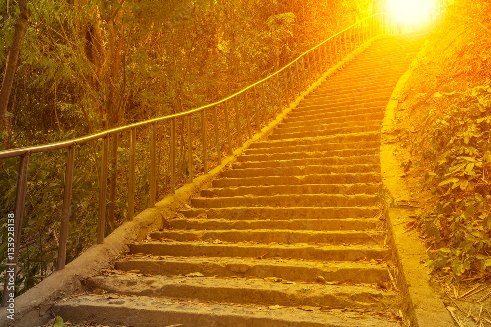 pathway with stair Stock Photo | Adobe Stock
