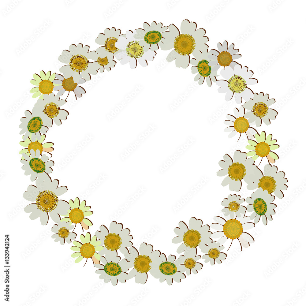 венок из ромашек на белом фоне векторная иллюстрация Stock Vector Adobe Stock
