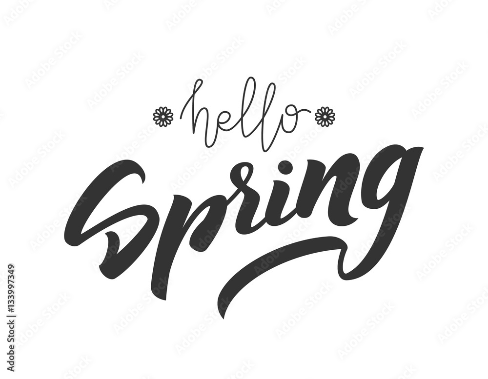 Vector illustration: Hand lettering of Hello Spring. Handwritten modern ...