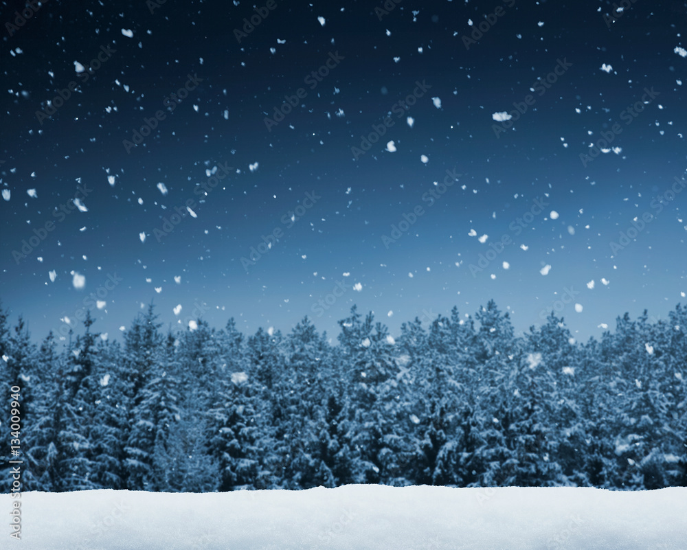 Snow Falling On Trees Night