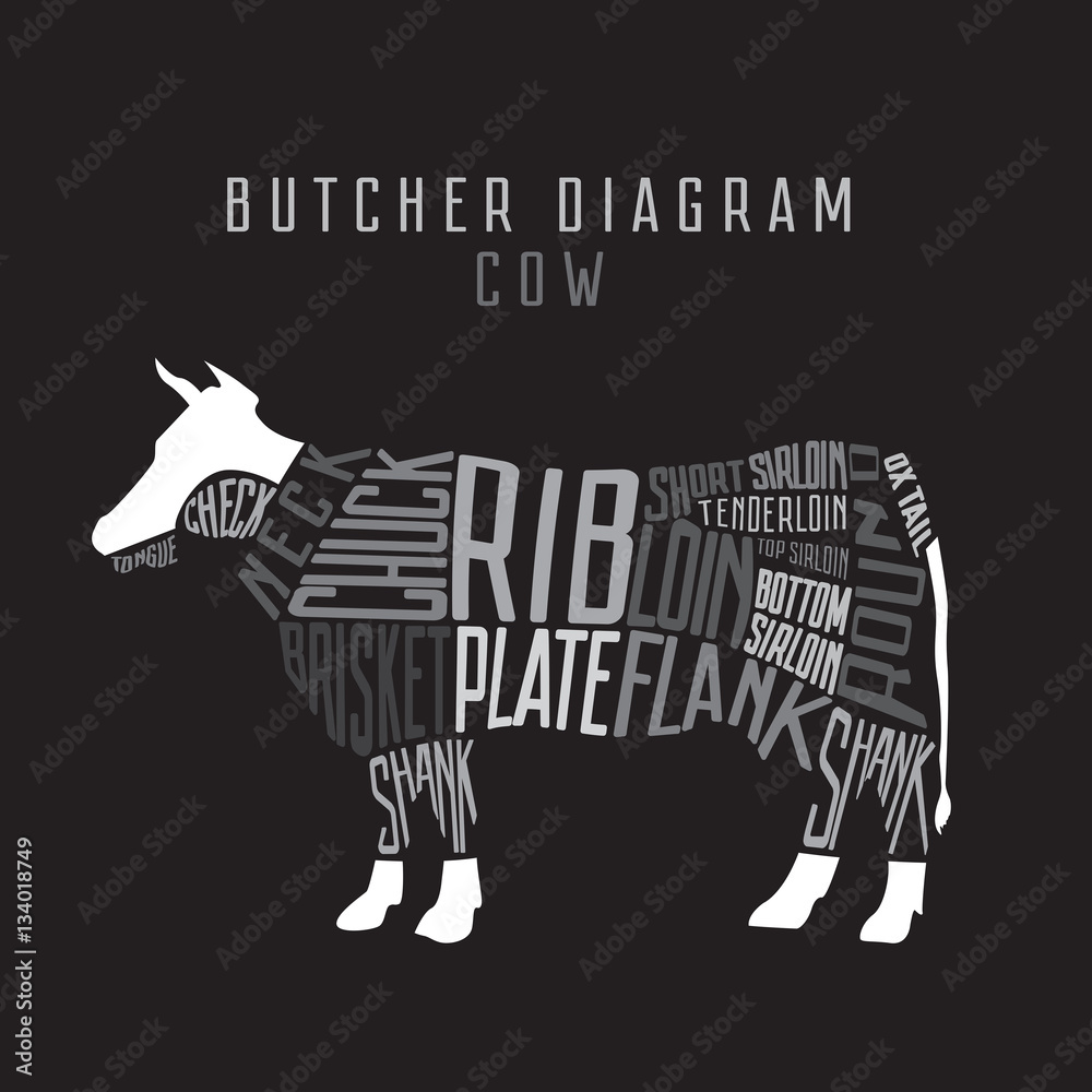 Cow butcher diagram. Cut of beef set. Typographic vintage Stock Vector ...