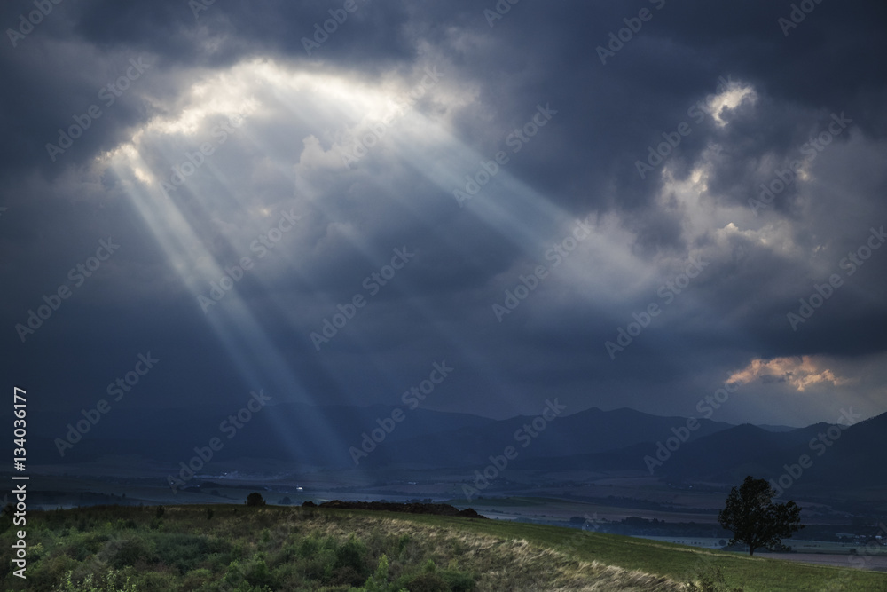Sun rays over valley. Sun rays over hill. Tree in sun rays. Lonely tree ...