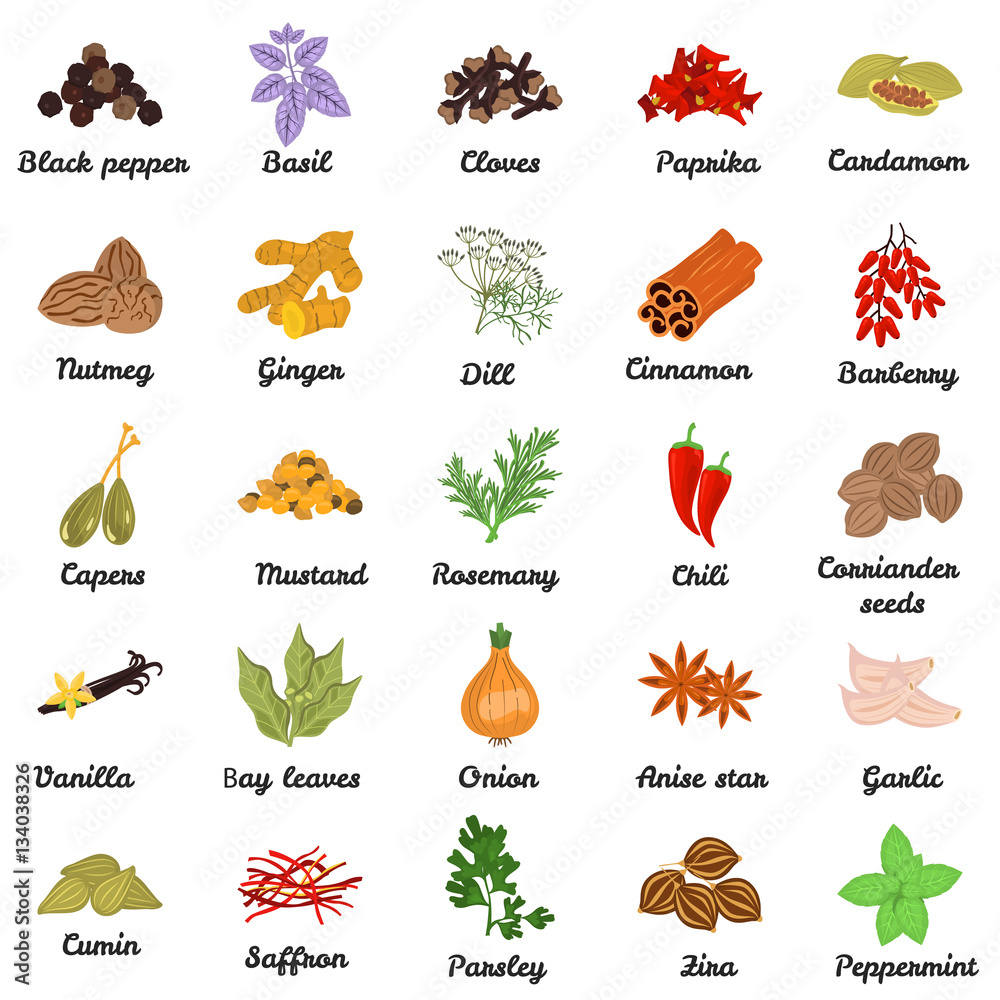 Set of color flat spice icons set with names Stock Vector | Adobe Stock