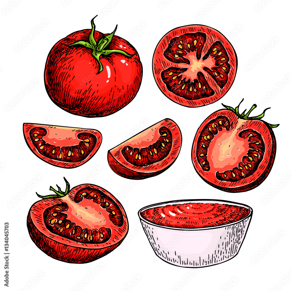 Sliced Tomatoes Drawing