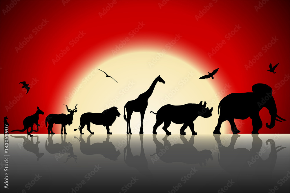 Silhouettes of wild animals on red sunset background. Vector ...