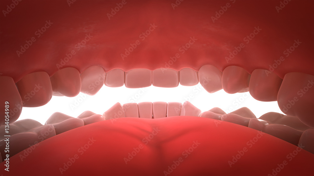 3d rendering of human teeth, open mouth, inside view Stock Illustration ...