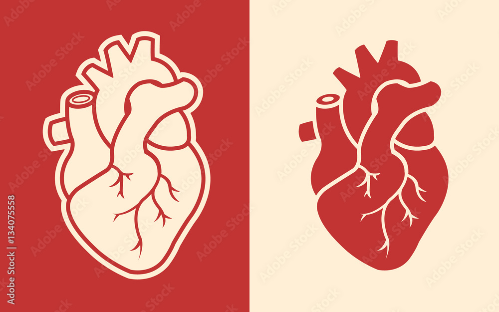 Human heart icons isolated on background Stock Vector | Adobe Stock