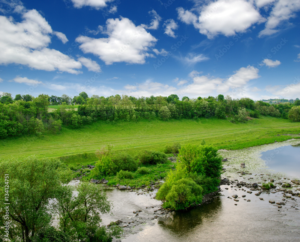 trees and a river Stock Photo | Adobe Stock