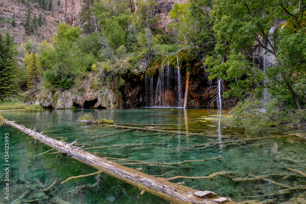 waterfalls and fallen timber logs at Hanging Lake U.S. National Natural ...