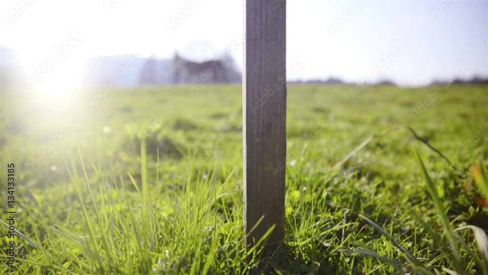 Wooden stick inside lawn sliding over with horse in background 4K Stock ...