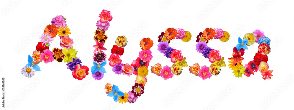 Alyssa In 3 D Lettering