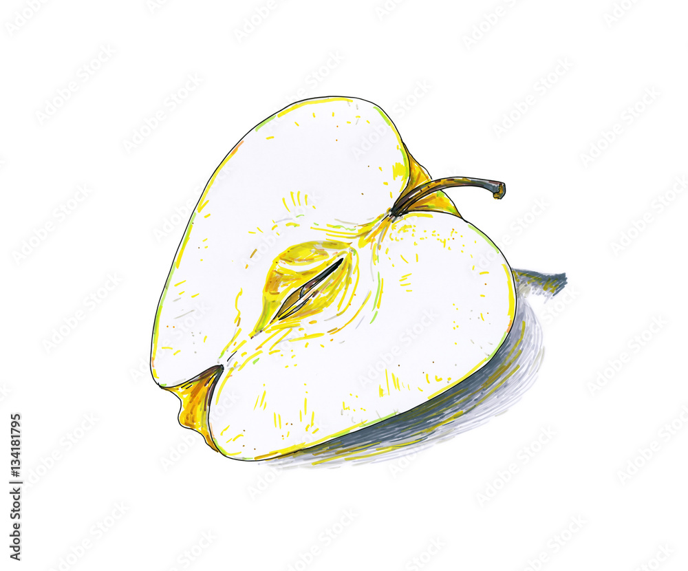 Yellow apple fruit are isolated on a white background. Color sketch ...