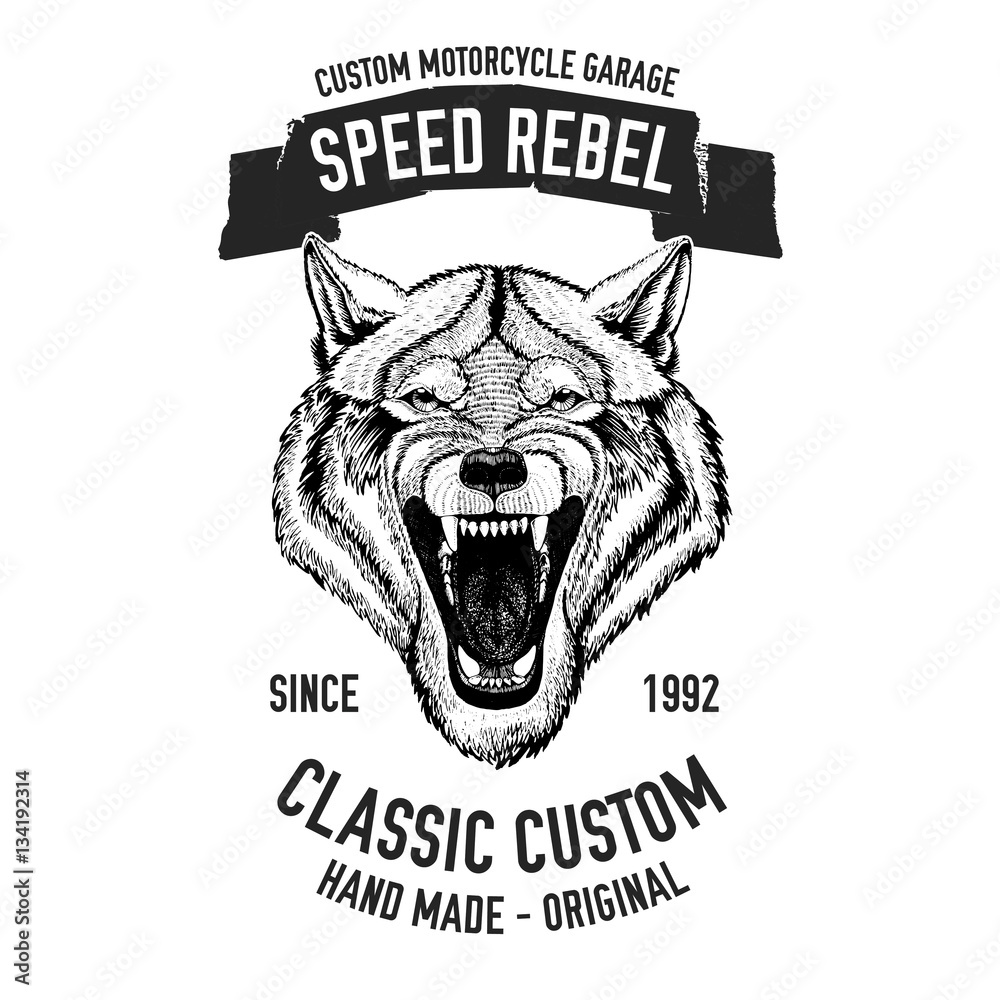 Wild wolf Vector image for motorcycle t-shirt, tattoo, motorcycle club ...