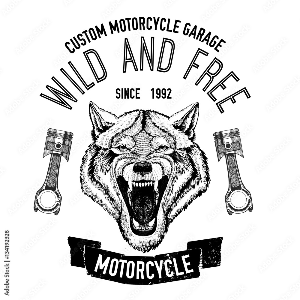 Wild wolf Vector image for motorcycle t-shirt, tattoo, motorcycle club ...