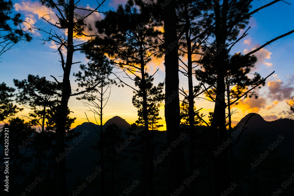 Colorful sunset sky with pine tree on mountain Stock Photo | Adobe Stock