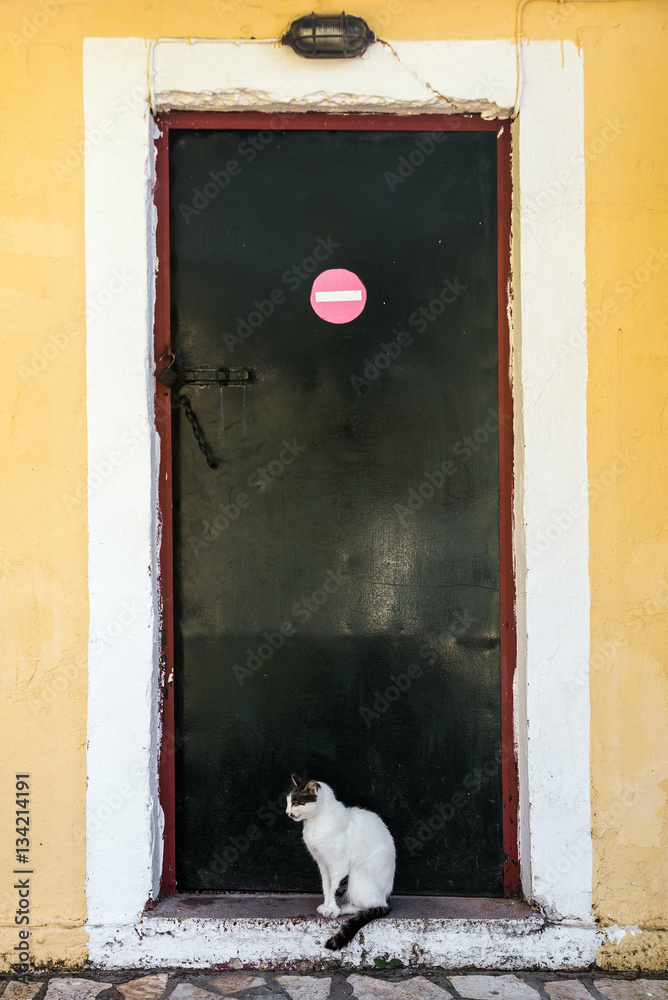 No entry for cats Stock Photo | Adobe Stock