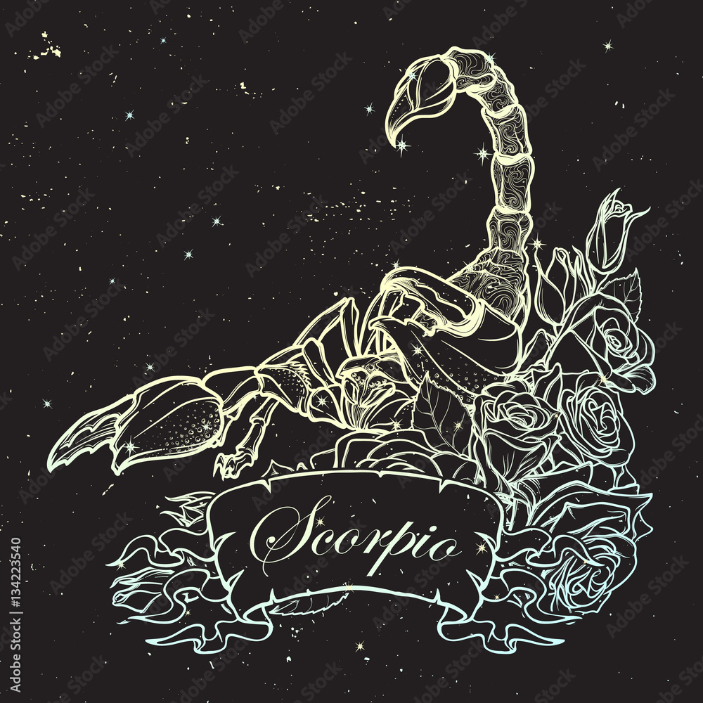 Zodiac sign Scorpio. Detailed realistic scorpio in a decorative frame ...