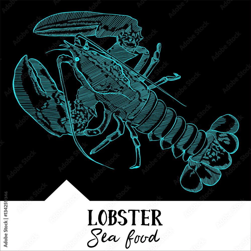 Hand drawn, vector illustration, design for a seafood restaurant menu ...