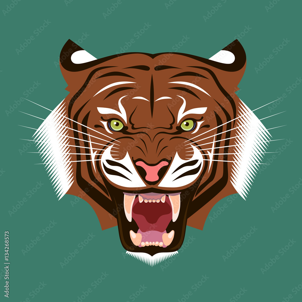 Angry Growling Tiger. Roaring tiger's head. Stock Illustration | Adobe ...