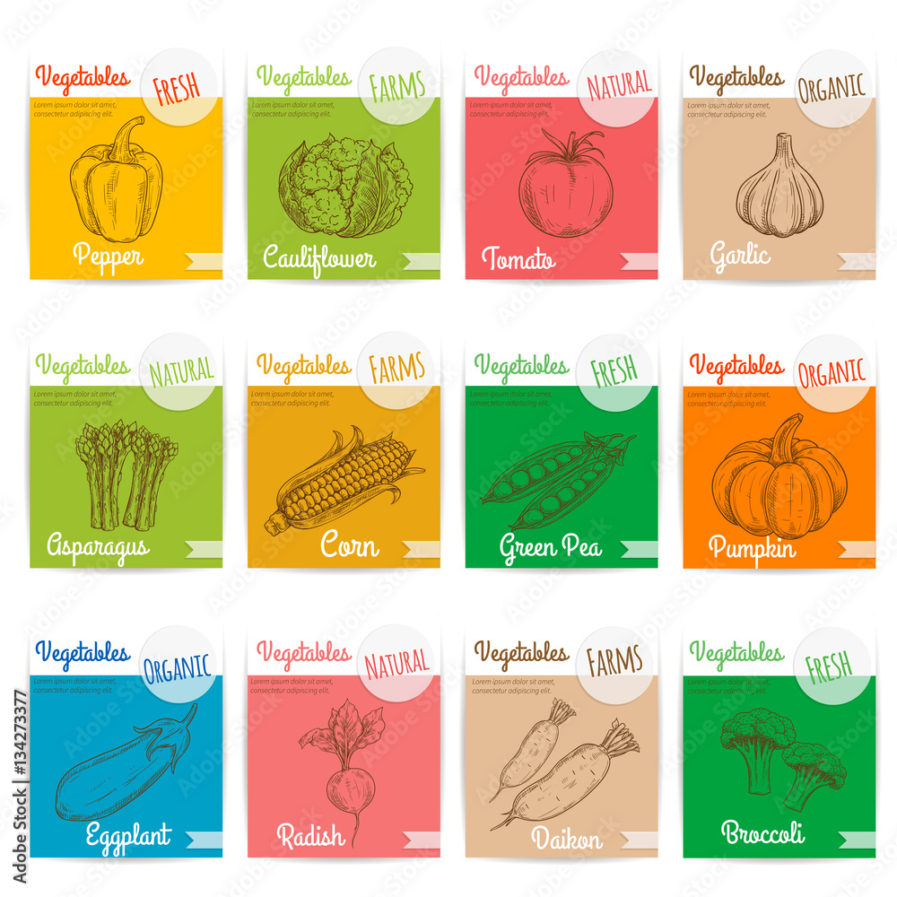 Vegetables vector sketch icons with names Stock Vector | Adobe Stock