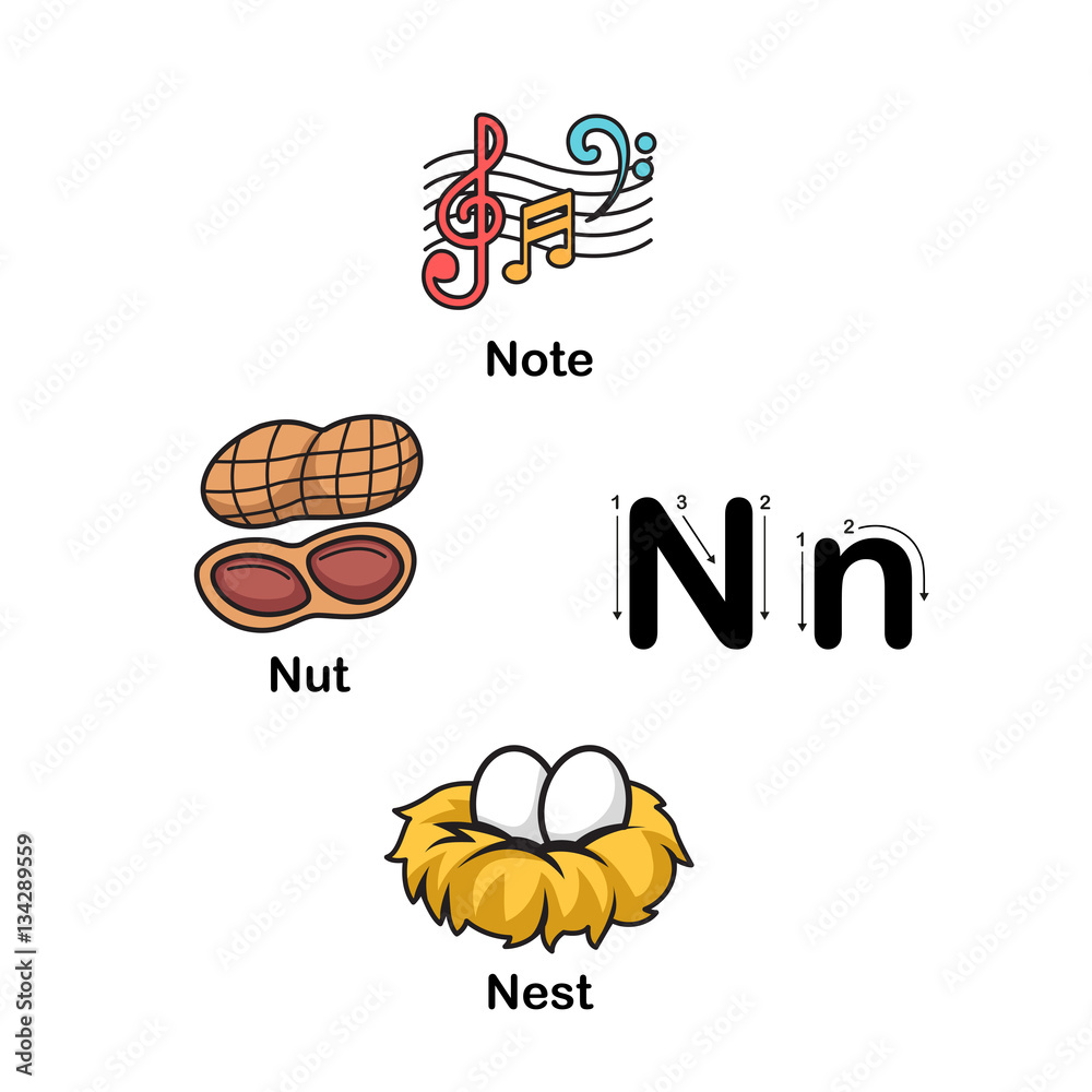 Alphabet Letter N-note,nut,nest illustration Stock Vector | Adobe Stock