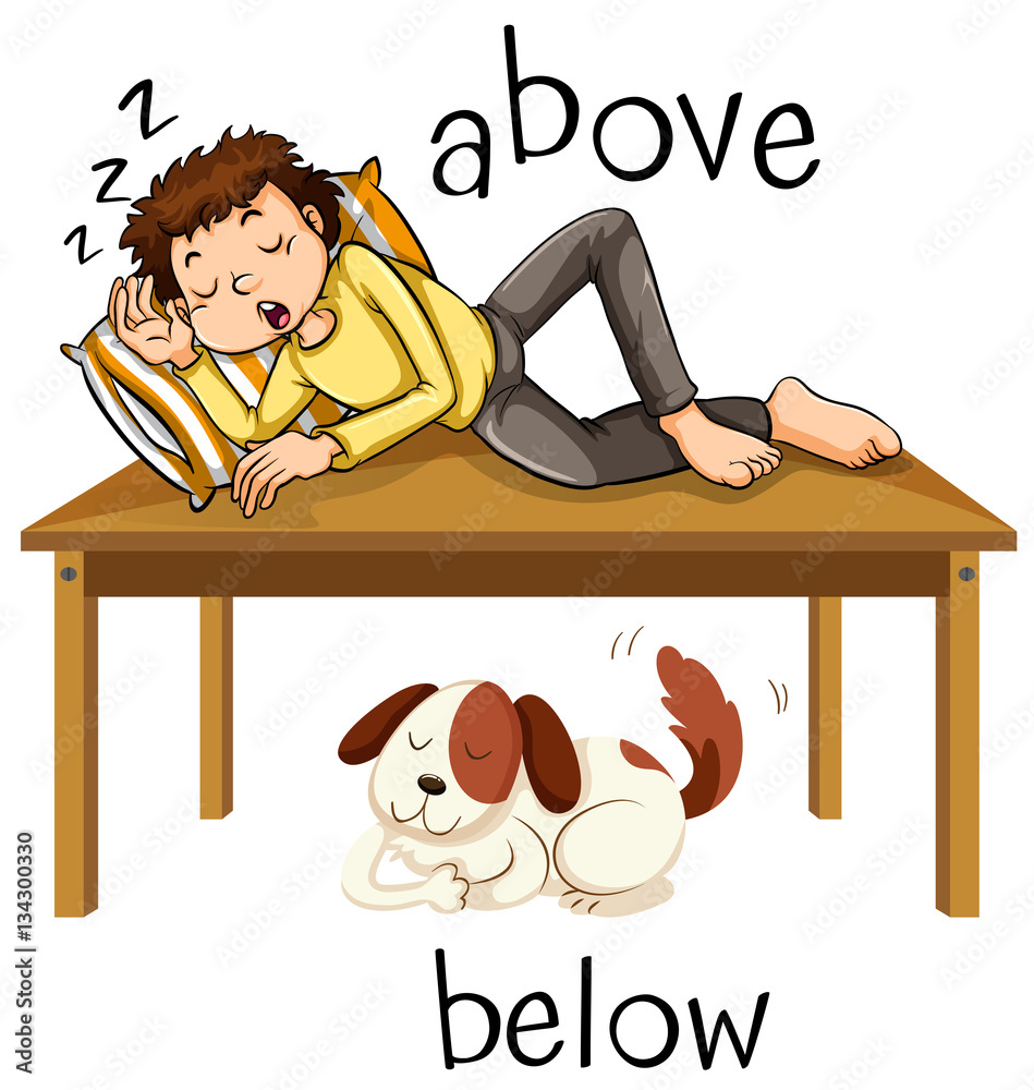 Opposite words for above and below vector de Stock | Adobe Stock