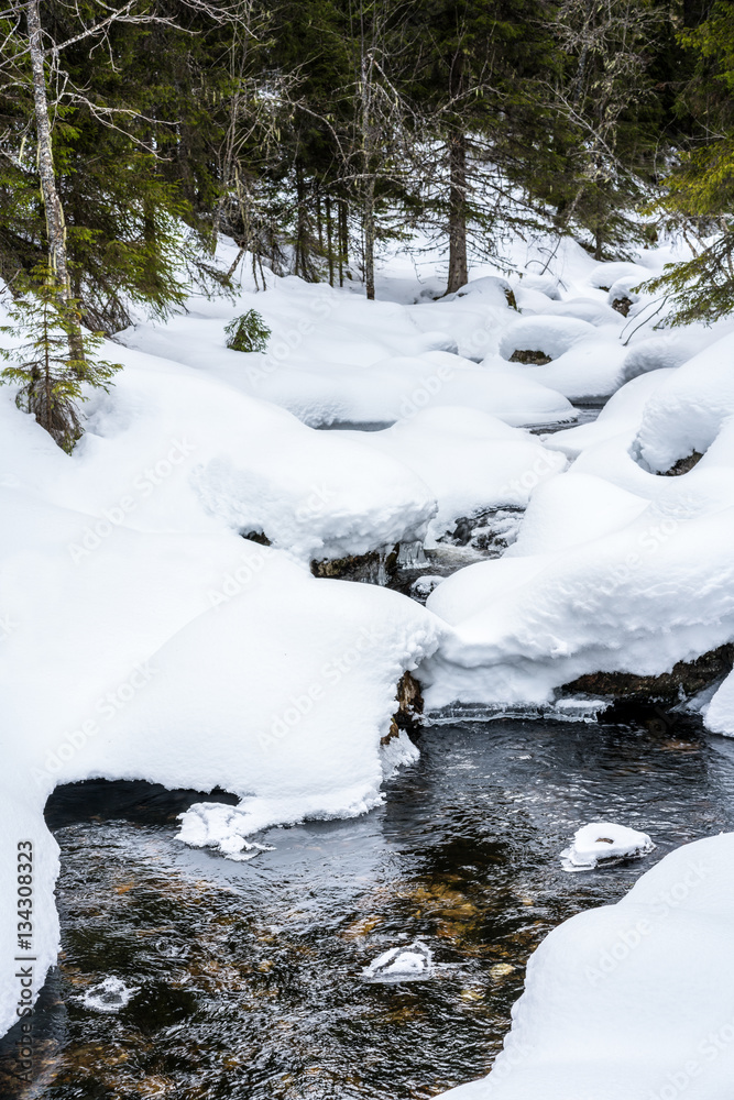 Winter stream with deep snow and water flows underneath. Early spring ...