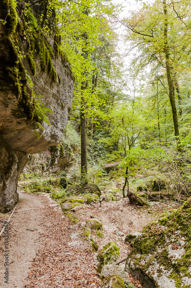 Twann, Schlucht, Twannschlucht, Felsen, Felswand, Jurafelsen, Jura ...