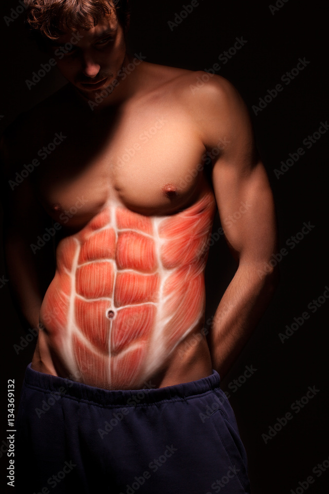 Male body. Anatomy of the human abdominal muscle. Stock Photo | Adobe Stock