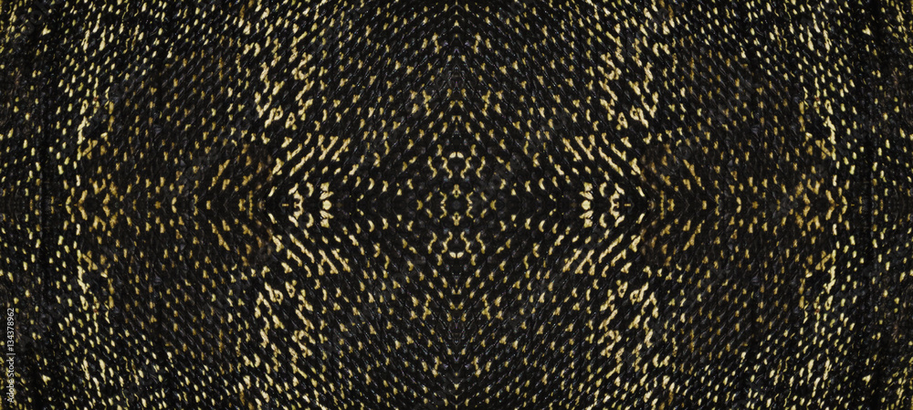 Pattern the skin of water monitor lizard Stock Photo | Adobe Stock