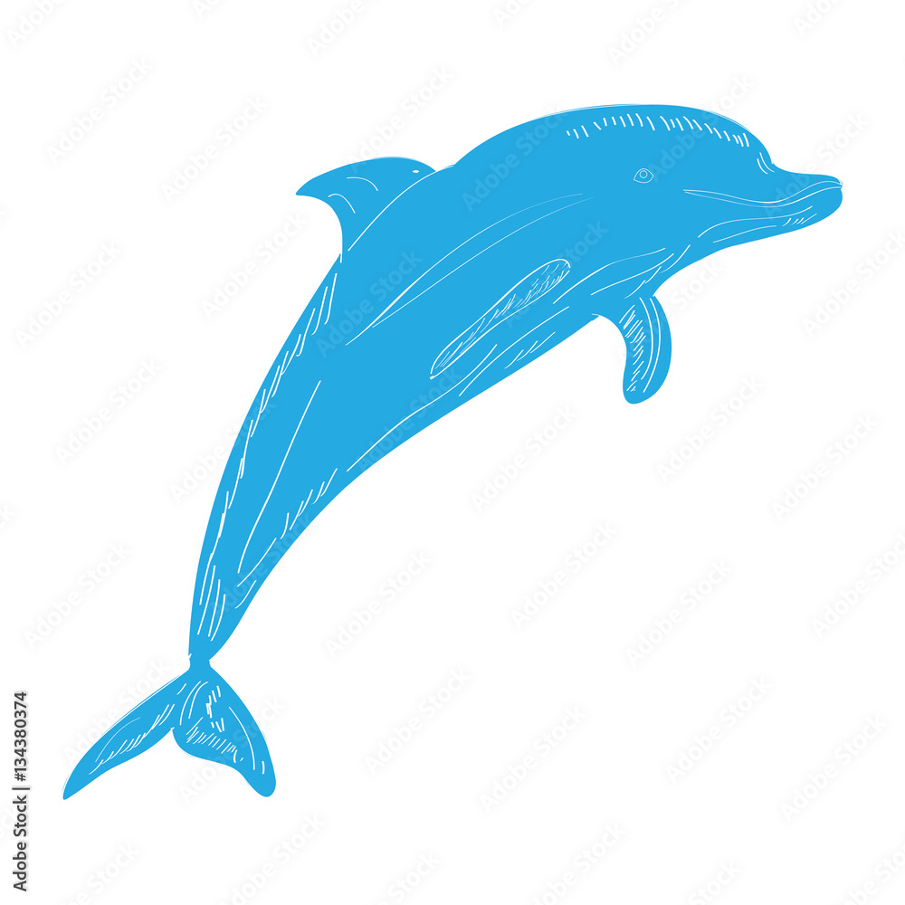 Isolated dolphin sketch on a white background, Vector illustration ...