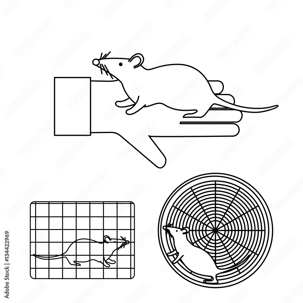 mouse in lab experiments Stock Vector | Adobe Stock