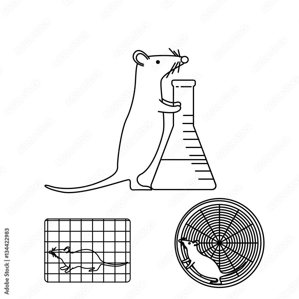 mouse in lab experiments Stock Vector | Adobe Stock