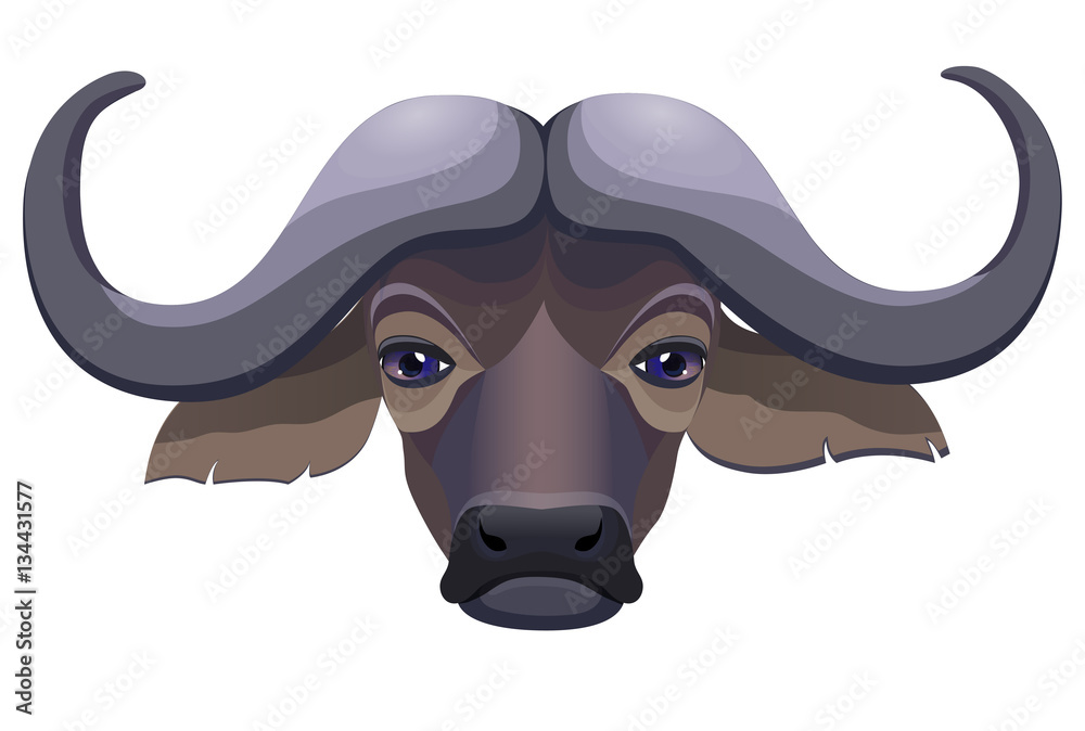 The head of a African Buffalo. Logo, emblem, mascot. Vector ...