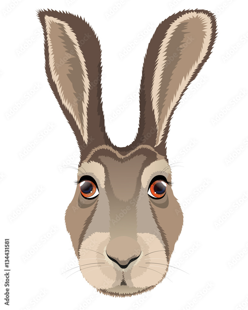 The head of a hare. Logo, emblem, mascot. Vector illustration. Stock ...