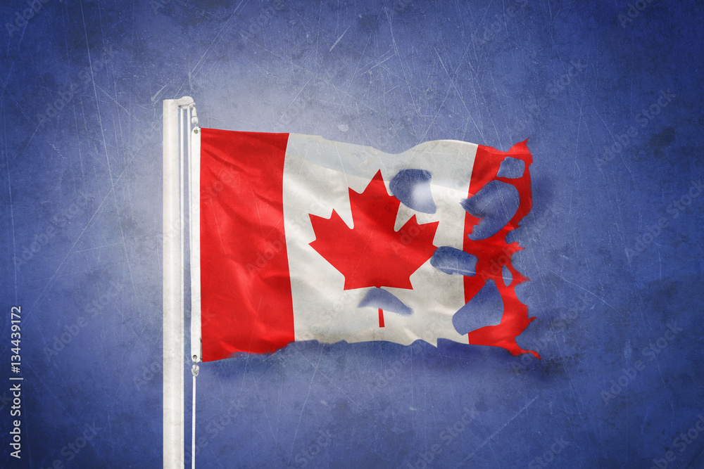 Torn flag of Canada flying against grunge background Stock Photo ...