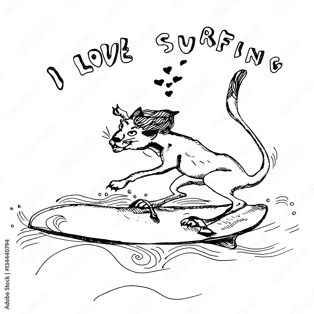 Hand drawn cat surfer. Vector illustration. Stock Vector | Adobe Stock