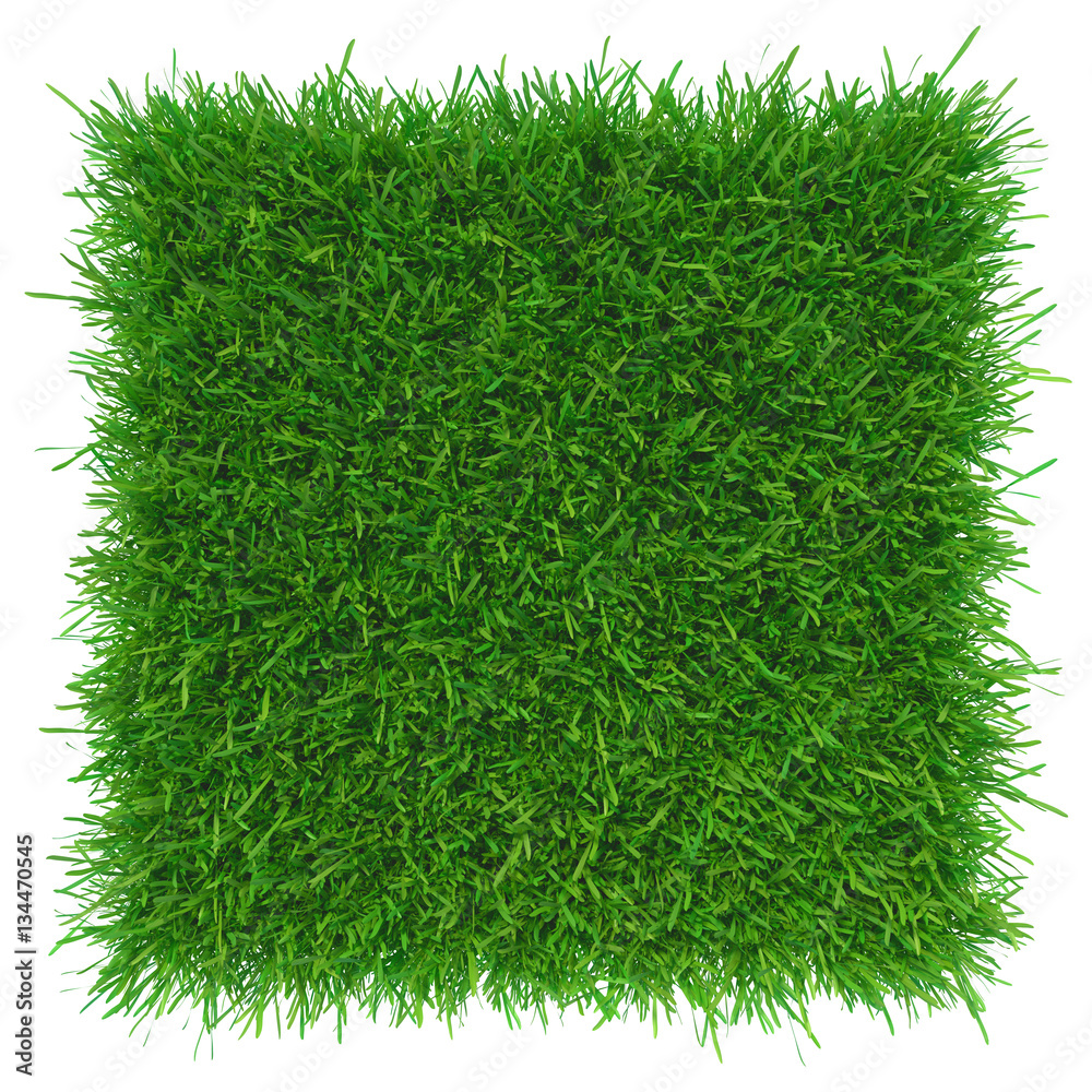 Green grass. natural background texture. high resolution. 3d rendering ...