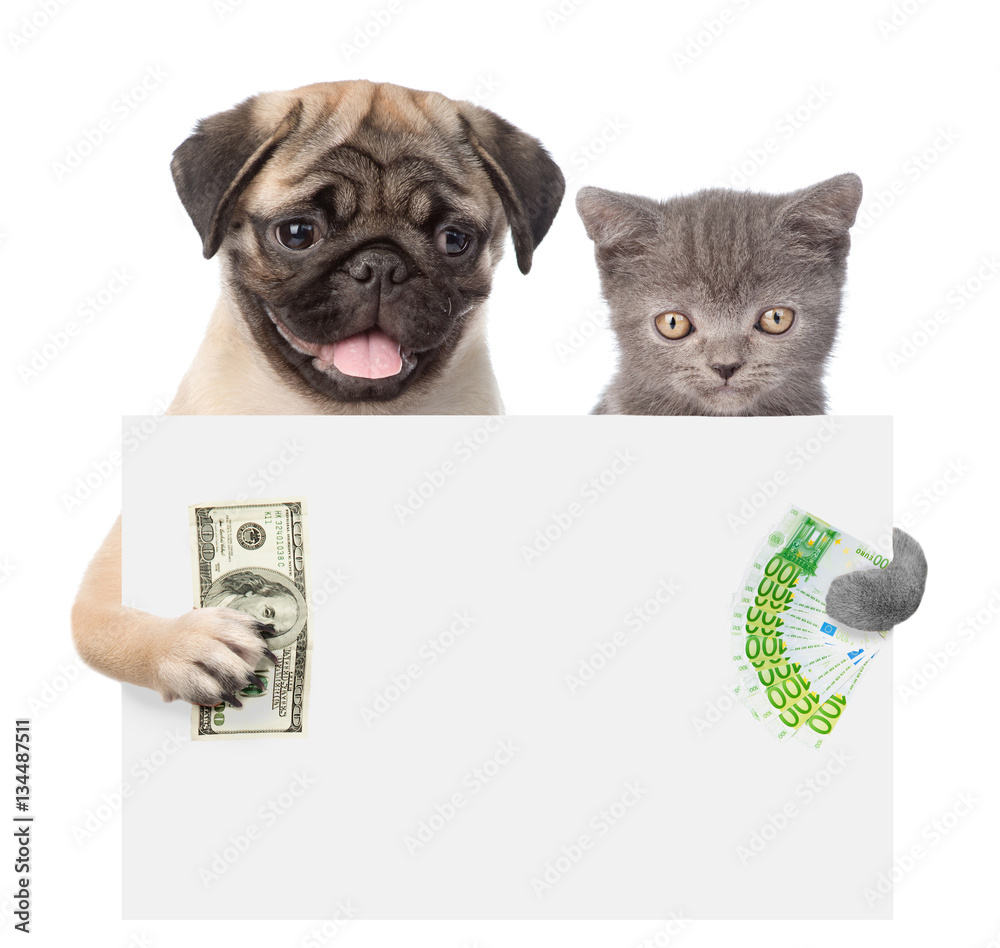Dogs Holding Money