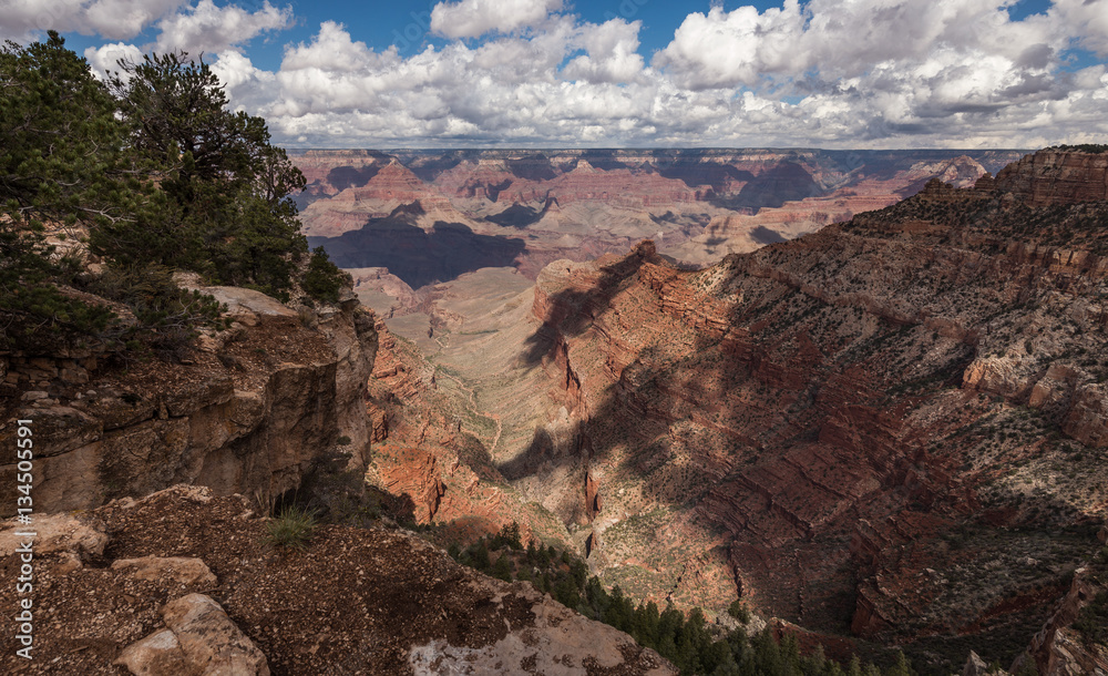 Grand Canyon from the air. Stock Photo | Adobe Stock