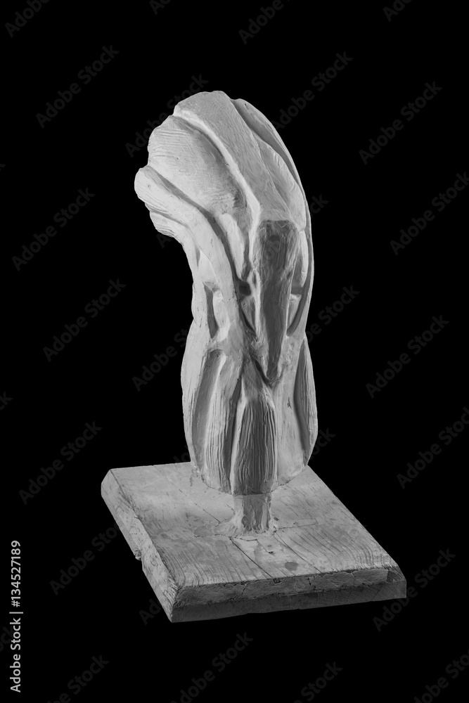 plaster statue of a man with anatomical leg muscles. Stock Photo ...