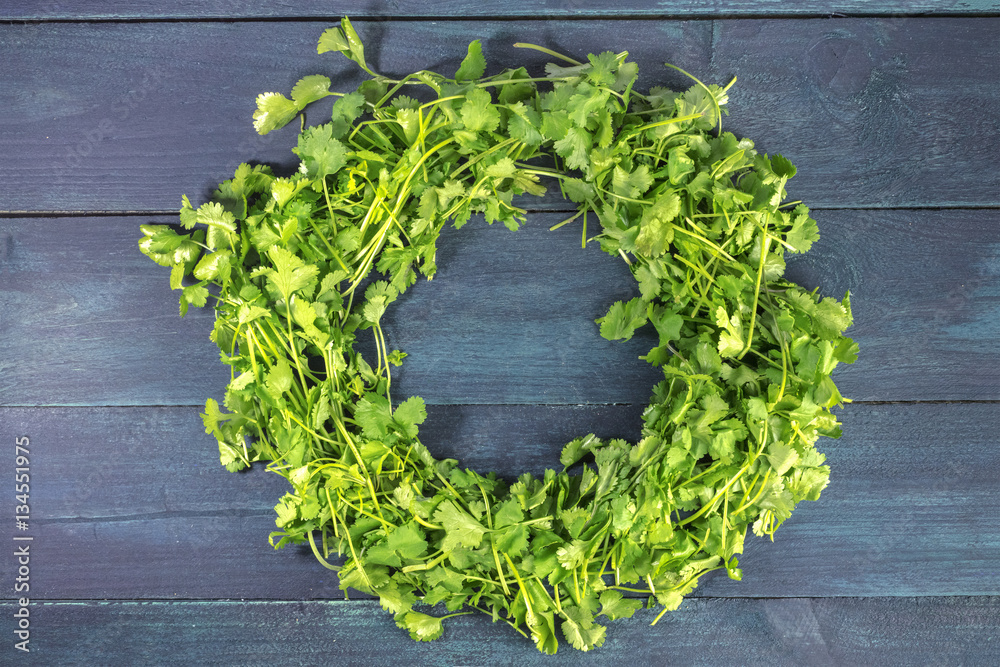 Wreath of cilantro leaves, vegan banner design template Stock Photo ...