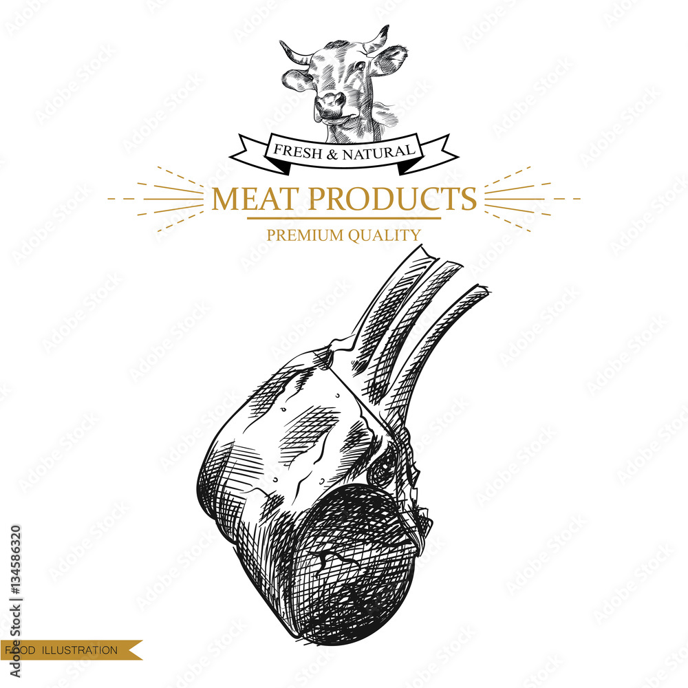 Sketch ribs on white background. Hand drawn meat elements Retro style ...