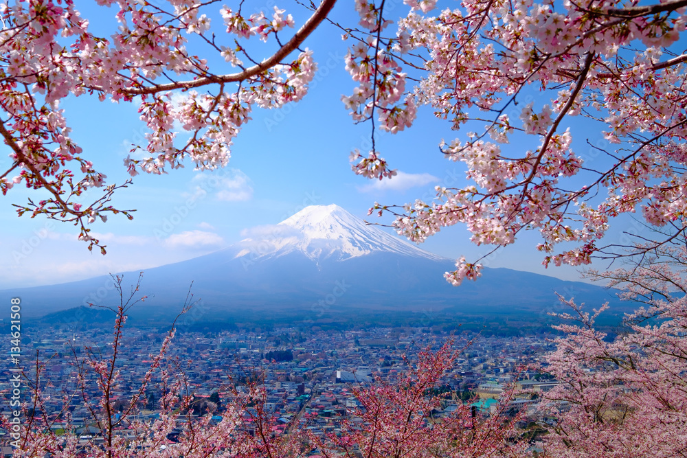 Mt. Fuji with Japanese Cherry Blossoms at Japan Stock Photo | Adobe Stock