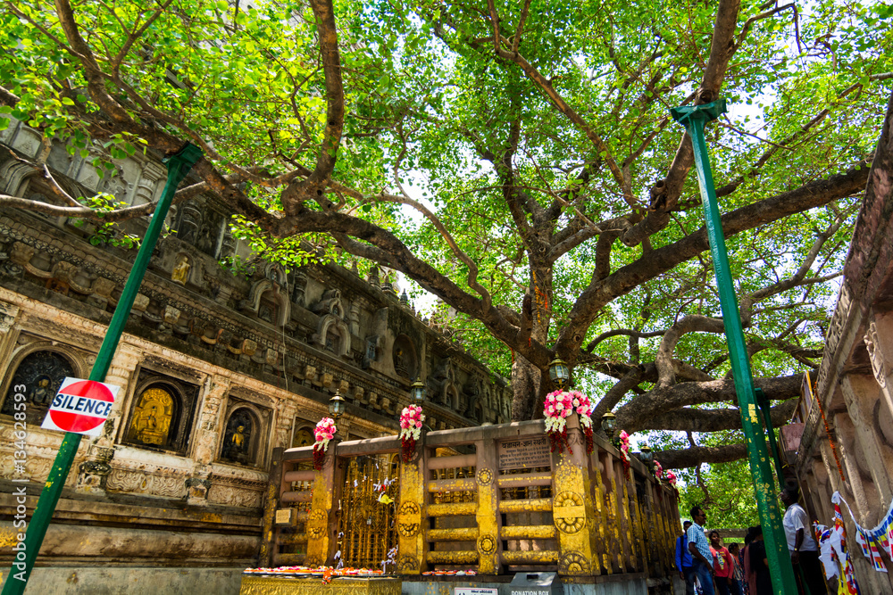 Poster Affiche Bodh Gaya is the place where Gautama Buddha is said to have obtained Enlightenment 40x26.7 cm