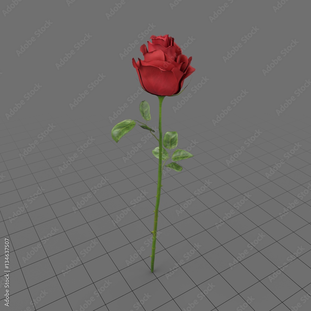 Rose 01 Stock 3D asset | Adobe Stock